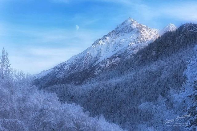 @gary_randall – Artist Connect