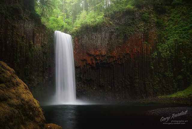 @gary_randall5 – Artist Connect