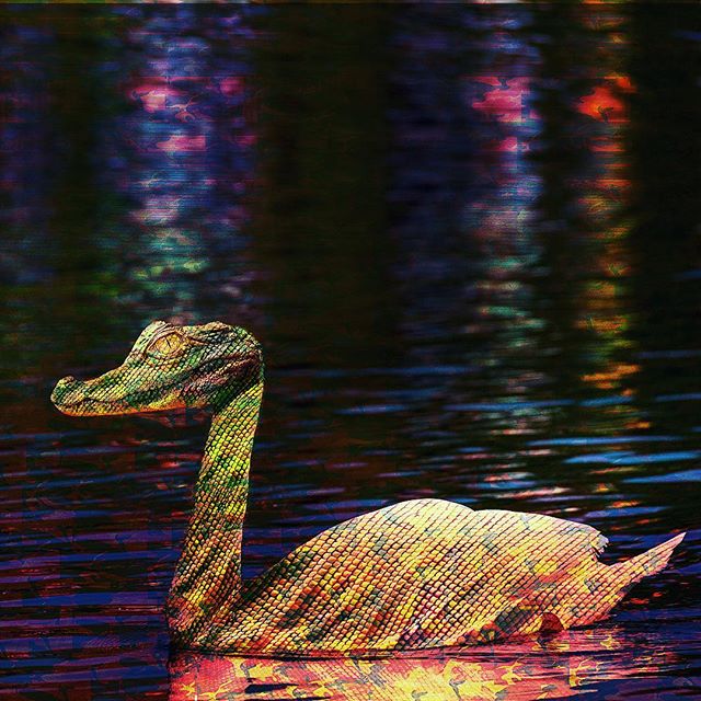 FEATURED ARTIST: Interview with Seattle Artist, Casey Bennett – Artist ...