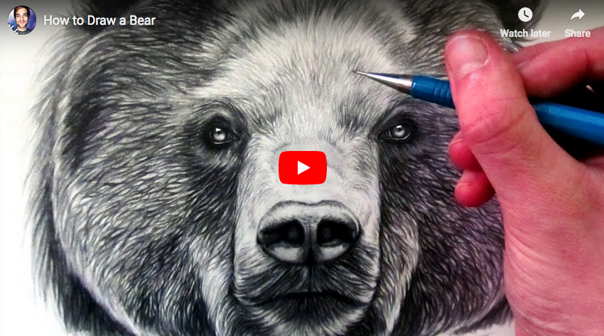 DRAWING TUTORIAL: How to Draw Broly Dragon Ball Z | Step-by-Step ...